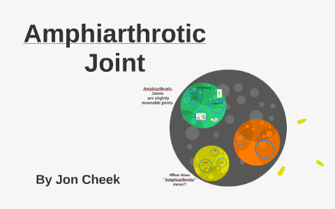 Amphiarthrotic Joint by jon cheek on Prezi