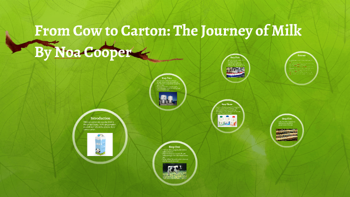 From Cow to Carton: by Noa Cooper on Prezi