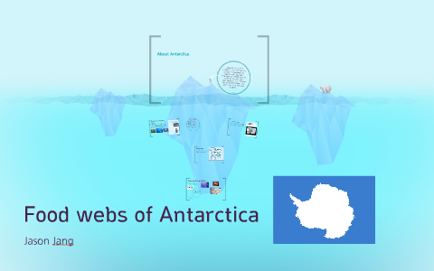 Food webs of Antarctica by Jason Jang