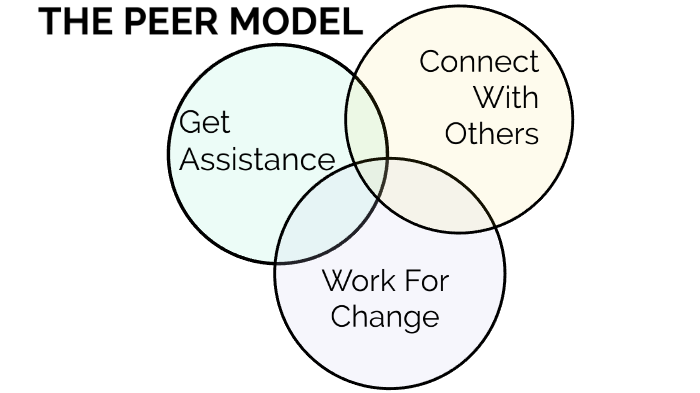 THE PEER MODEL by Sandra Wong on Prezi
