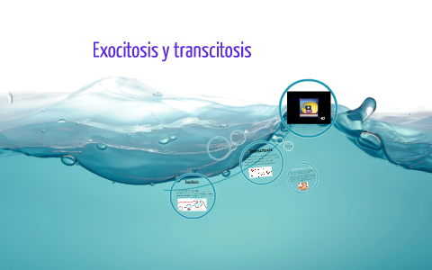 Transcitosis by Yilanea Rojas on Prezi