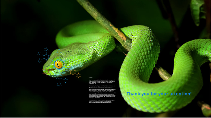 HOW SNAKES LOST THEIR LEGS by Elena Gavriliuc on Prezi