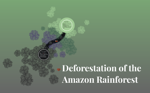 Deforestation of the Amazon Rainforest by Lee Yang on Prezi