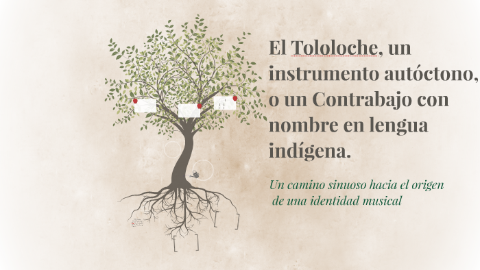 El Tololoche, un instrumento autóctono, o un contrabajo con by Andrea ...