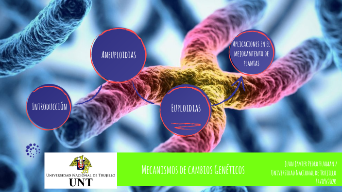 Mecanismos de Cambios Genéticos by Juan javier Pedro Huaman on Prezi