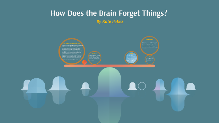 How Does the Brain Forget Things? by Kate Petka on Prezi