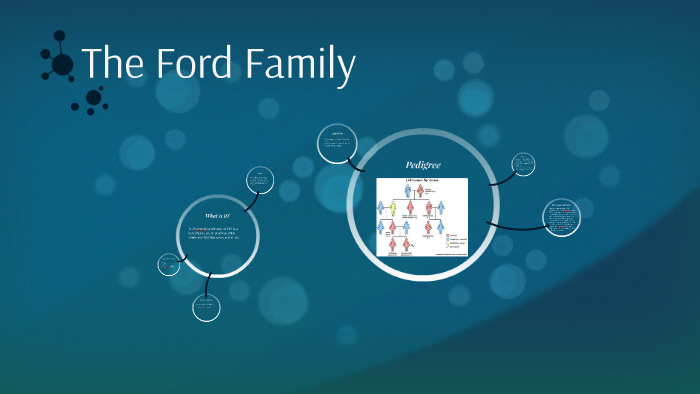 The Ford Family by Logan Davis