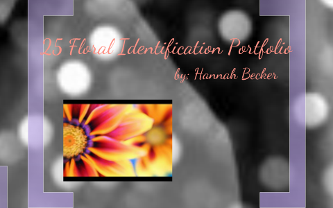 25 Different Types of Flowers by Hannah Becker on Prezi