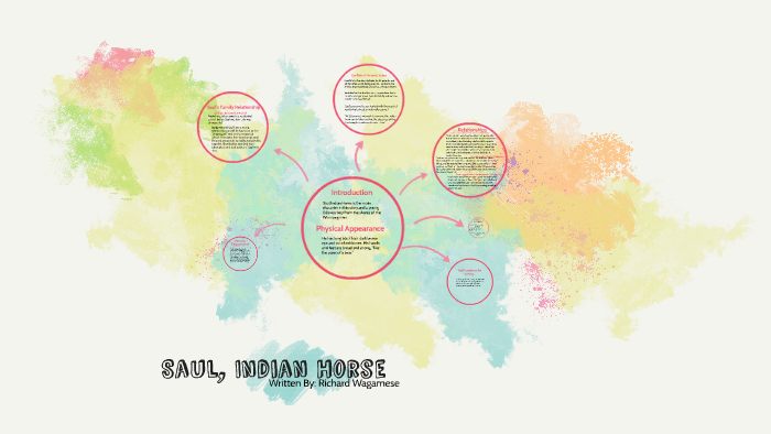Saul Indian Horse by Erin Jade on Prezi