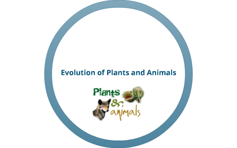 Evolution of Plants and Animals by Ethan Holder