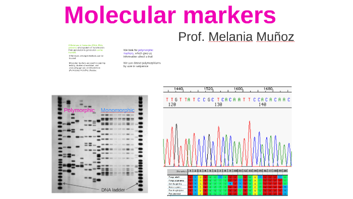 Molecular markers Oct 2017 by Mauricio Mora on Prezi