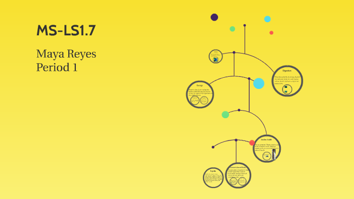 MS-LS1.7 by Maya Reyes on Prezi