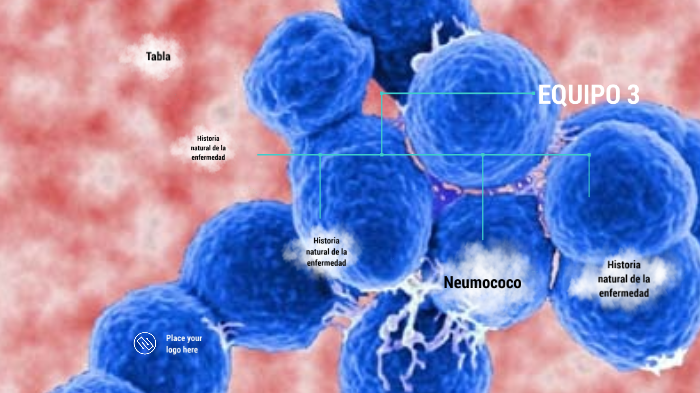 NEUMOCOCO by Fer c: on Prezi