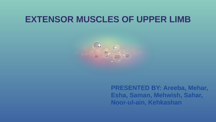 EXTENSOR MUSCLES OF UPPER LIMB by MEHAR NIGAR on Prezi
