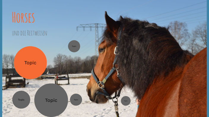 pferde by Alexandra Schwabe on Prezi