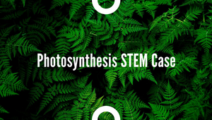Photosynthesis STEM Case by Prisha Mistry on Prezi Design