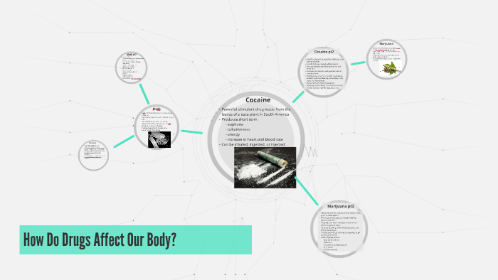 How Do Drugs Affect Our Body? by Megan Ballor on Prezi