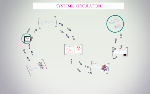SYSTEMIC CIRCULATION by Valeria Arevalo moran on Prezi