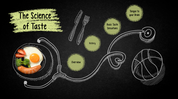 Science of Taste by Marla John on Prezi