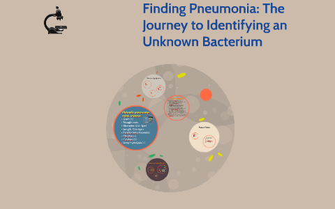 Identifying an Unknown Bacteria by Lan Crofton on Prezi