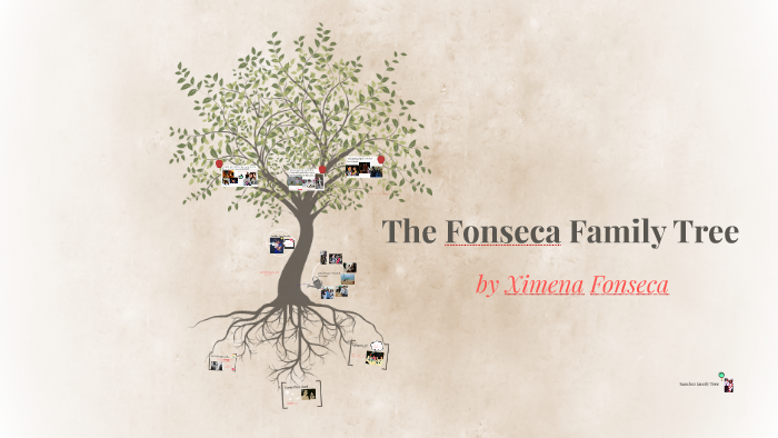 Fonseca Family Tree by Ximena Fonseca on Prezi