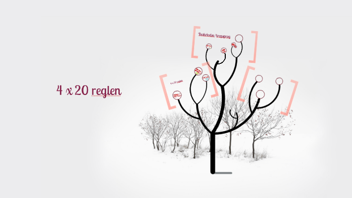 4 x 20 reglen by tine nielsson on Prezi