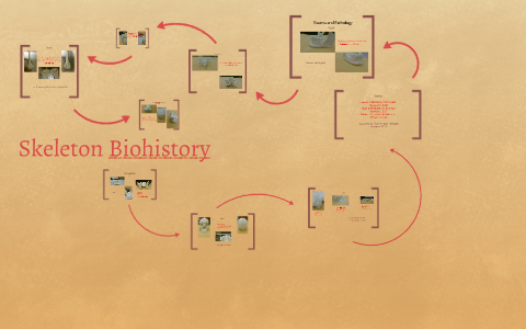 Skeleton Biohistory by Kelsy Dorn on Prezi
