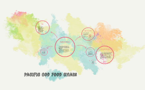 Pacific Cod Food chain by Hunter Hamm on Prezi