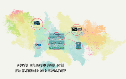 North atlantic Food Web by Alex Kleckner on Prezi