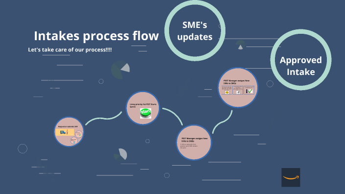 Intakes process flow by Lis Cortes on Prezi
