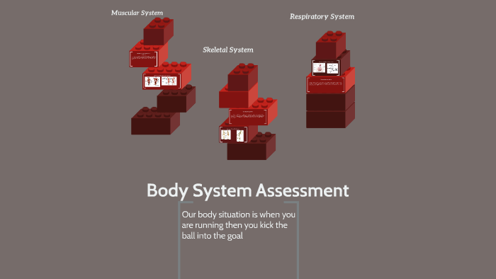 Body System Assessment by Ryan Nguyen