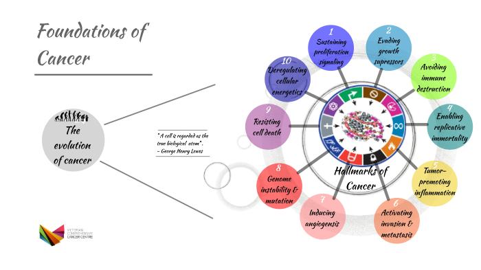 FOUNDATIONS OF CANCER by Sat Dushy on Prezi