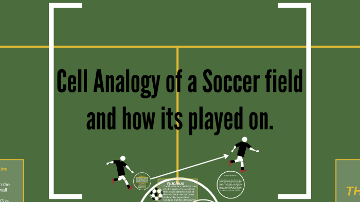 Cell Analogy of a Soccer field and how its played on. by on Prezi