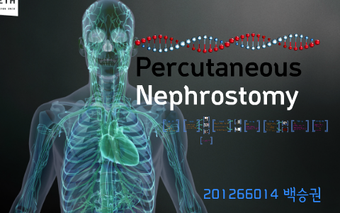 PCN by 승권 백 on Prezi