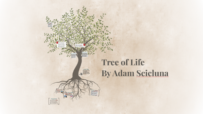 Tree of Life by Adam Scicluna on Prezi