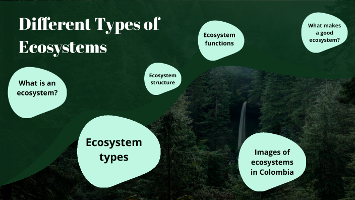 Different Types of Ecosystems by mauricio sierra on Prezi
