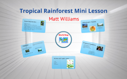 Tropical Rainforest Mini Lesson by Matt Williams