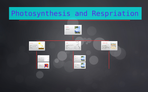 Photosynthesis and Cellular Respiration by Tyler Rowberry on Prezi