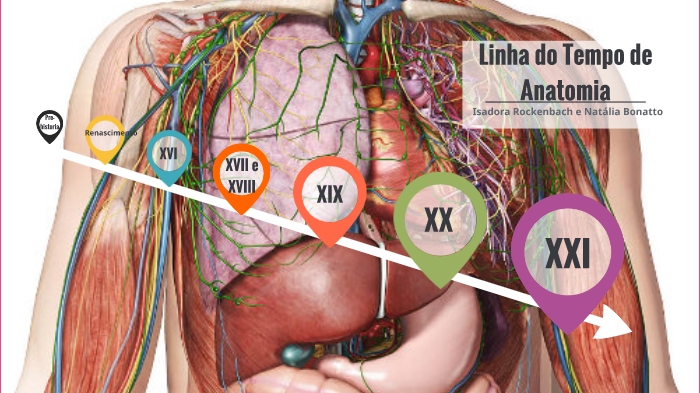 Linha do Tempo da Anatomia by Isadora Rockenbach on Prezi