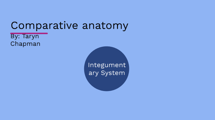 Integumentary System by Taryn Chapman on Prezi