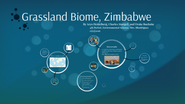 Grassland Biome, Zimbabwe by Aryn Heidelberg on Prezi