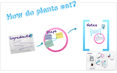 How plants get food by do Kim