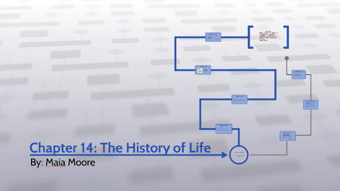 Chapter 14: The History of Life by Maia Moore on Prezi