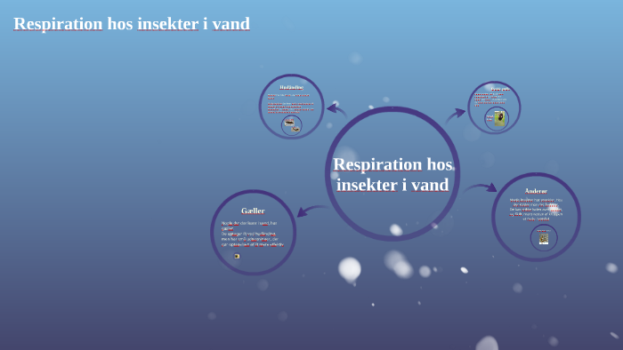 Respiration hos insekter i vand by on Prezi