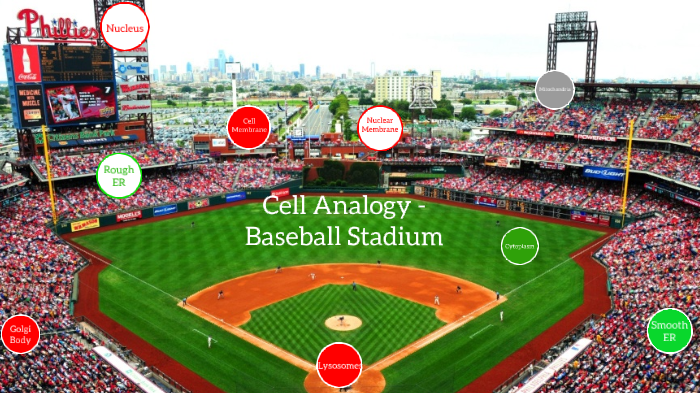 Cell Project - Baseball Stadium by Eye Brow on Prezi