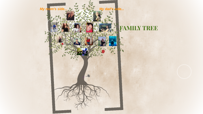 Family Tree by Marla Valladares