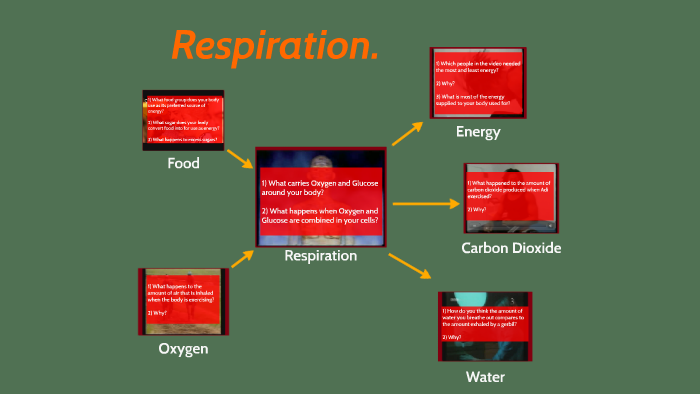 Respiration Flow Chart by Carl Bater on Prezi