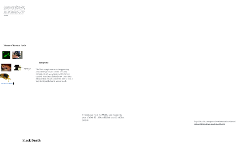 FILTHY CITIES BLACK DEATH VIDEO by shane hewett on Prezi