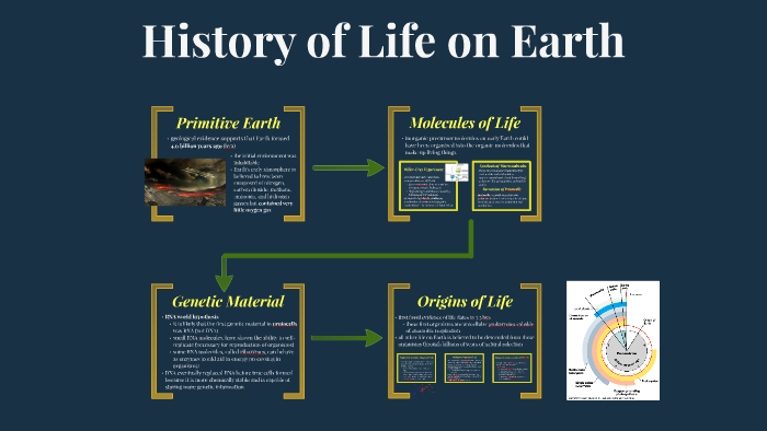 History of Life on Earth by Kimberly Christian on Prezi