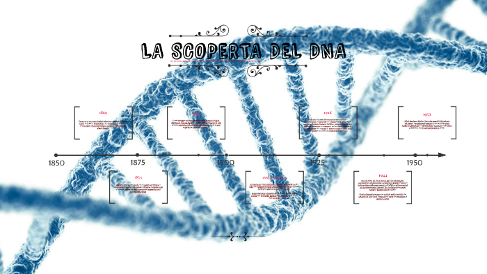 LA SCOPERTA DEL DNA by giulia puccioni on Prezi